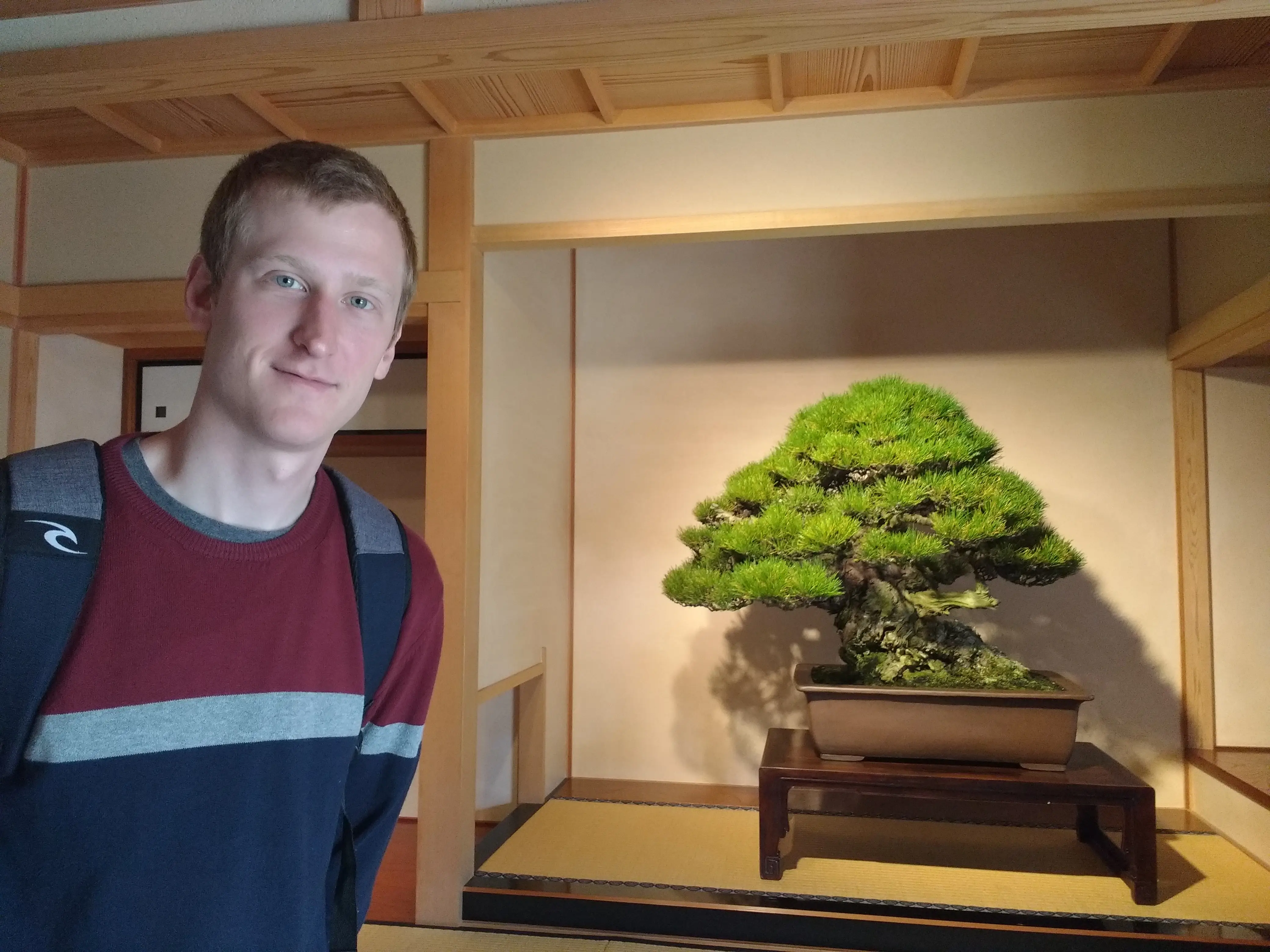Gustavo Colombini - mi camino en la cerámica y el bonsai